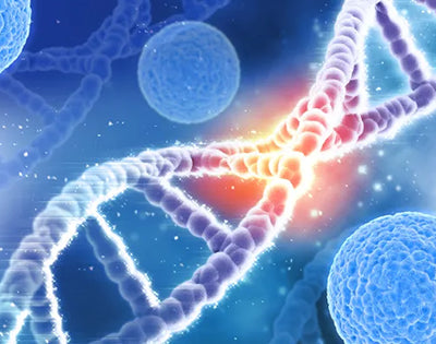 Ardent Bio ELISA kits, Immunoassays, proteins, antibodies, RNA/DNA kit ...